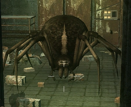 Grey Spiders | Stalker Online Wiki | Fandom