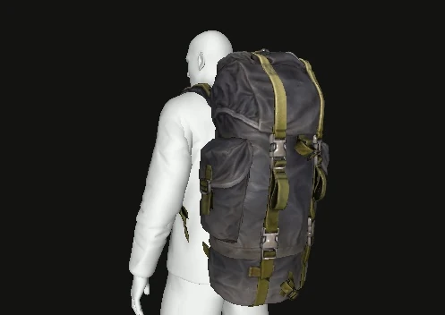 BundesWehr Combat backpack | Stalker Online Wiki | Fandom
