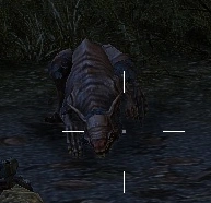 Mutant Rats | Stalker Online Wiki | Fandom