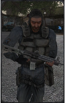 Ara | Wiki STALKER | Fandom