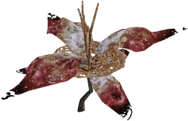 Anomalous Plant | S.T.A.L.K.E.R. Wiki | Fandom
