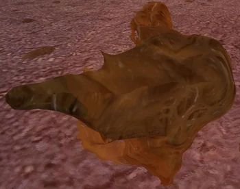 Meat Chunk | S.T.A.L.K.E.R. Wiki | Fandom