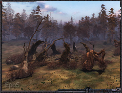 Anomaly | S.T.A.L.K.E.R. Wiki | Fandom