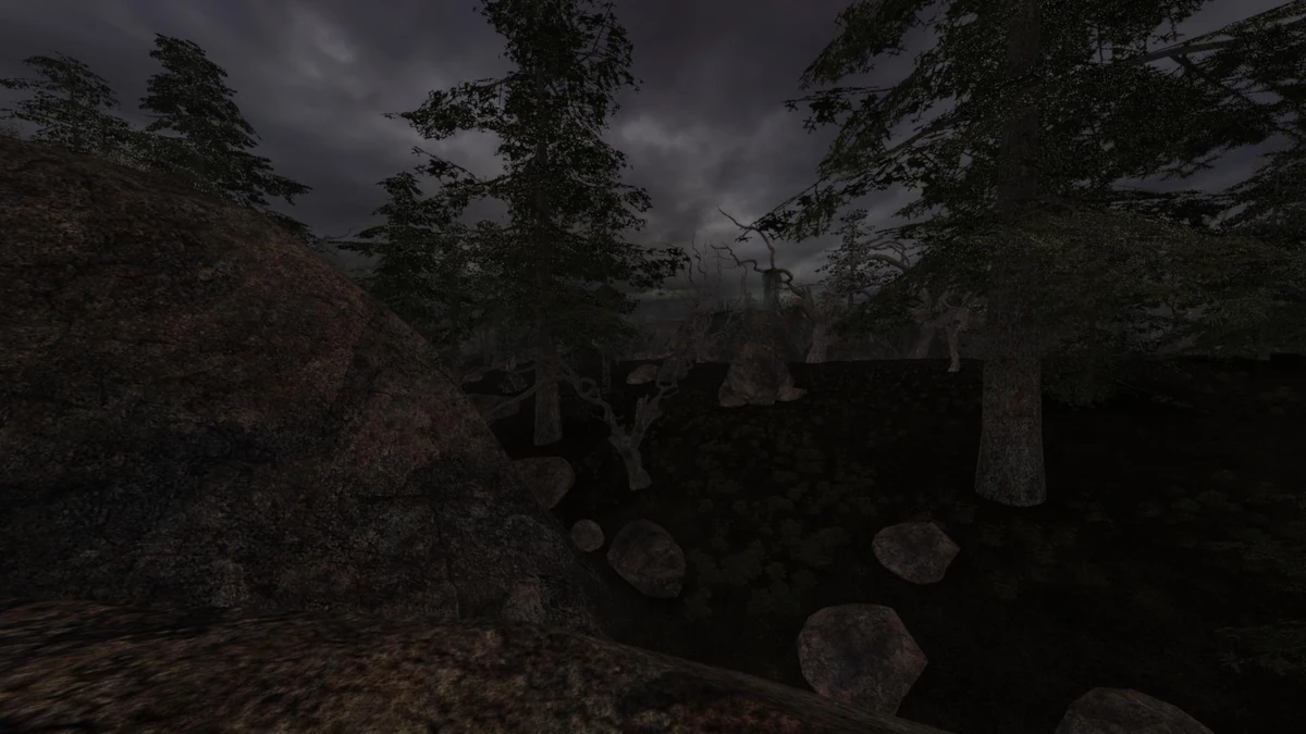 Black Forest | S.T.A.L.K.E.R. Wiki | Fandom