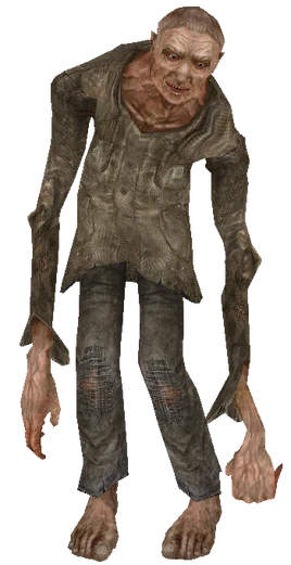 Izlom | S.T.A.L.K.E.R. Wiki | Fandom