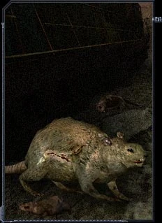 Rat wolf | S.T.A.L.K.E.R. Wiki | Fandom