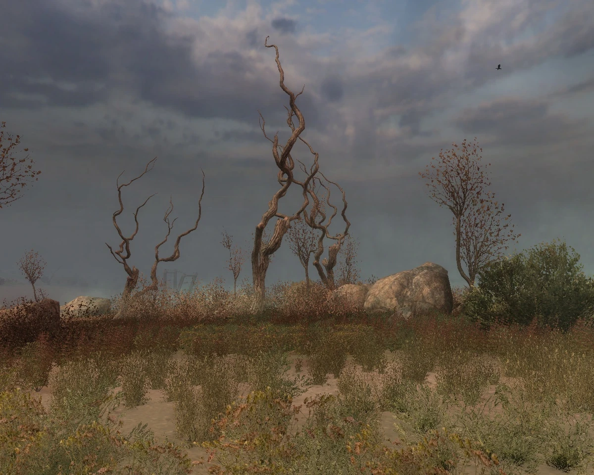 Anomalous Grove | S.T.A.L.K.E.R. Wiki | Fandom