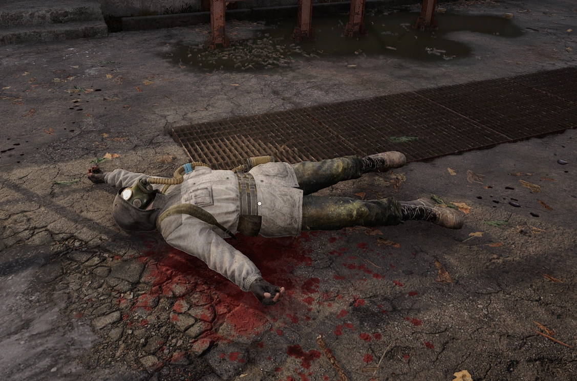 Smiley | S.T.A.L.K.E.R. Wiki | Fandom