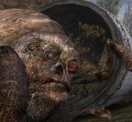 Flesh | S.T.A.L.K.E.R. Wiki | Fandom