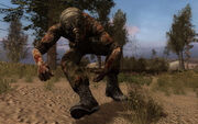Snork | S.T.A.L.K.E.R. Wiki | Fandom