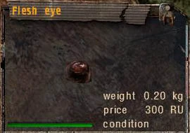 Obtain the flesh's eye | S.T.A.L.K.E.R. Wiki | Fandom