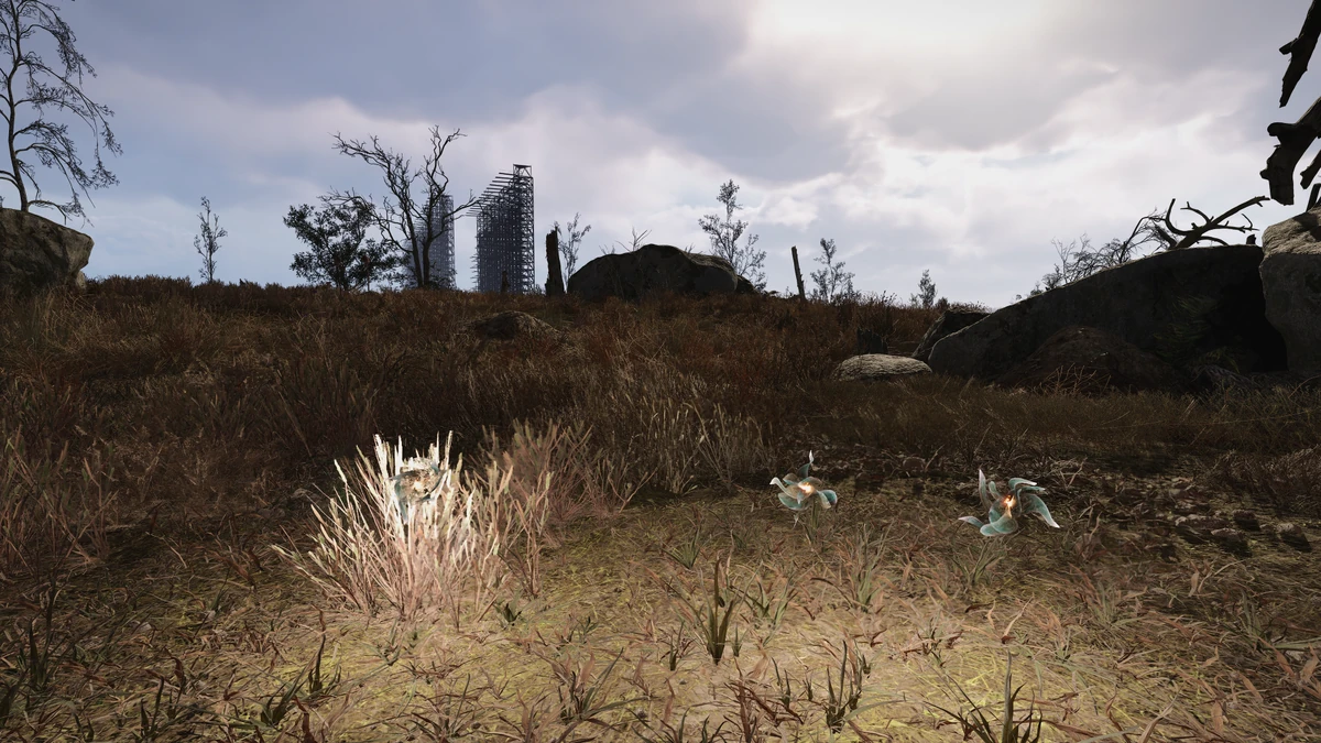 Psi-anomaly | S.T.A.L.K.E.R. Wiki | Fandom