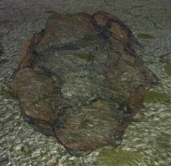 Slug | S.T.A.L.K.E.R. Wiki | Fandom