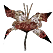 Anomalous Plant | S.T.A.L.K.E.R. Wiki | Fandom