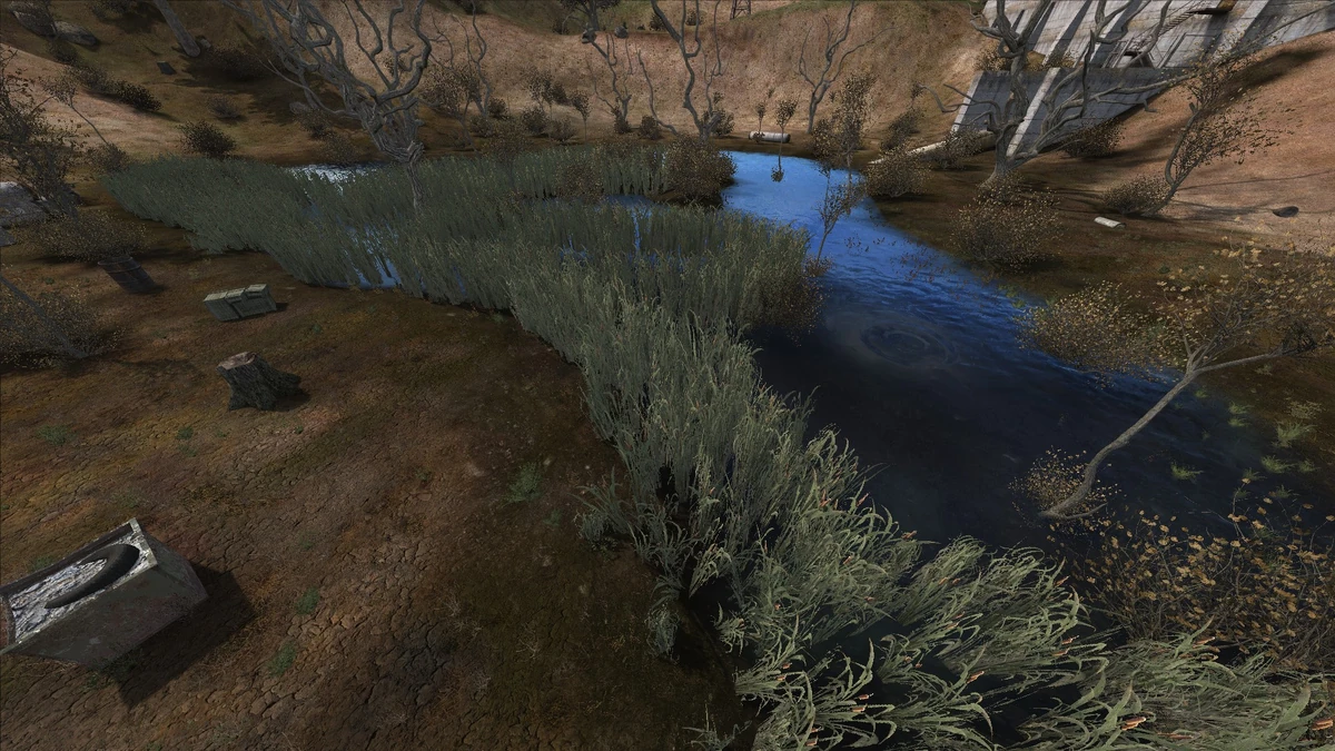 Yantar swamp | S.T.A.L.K.E.R. Wiki | Fandom