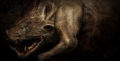 Boar | S.T.A.L.K.E.R. Wiki | Fandom