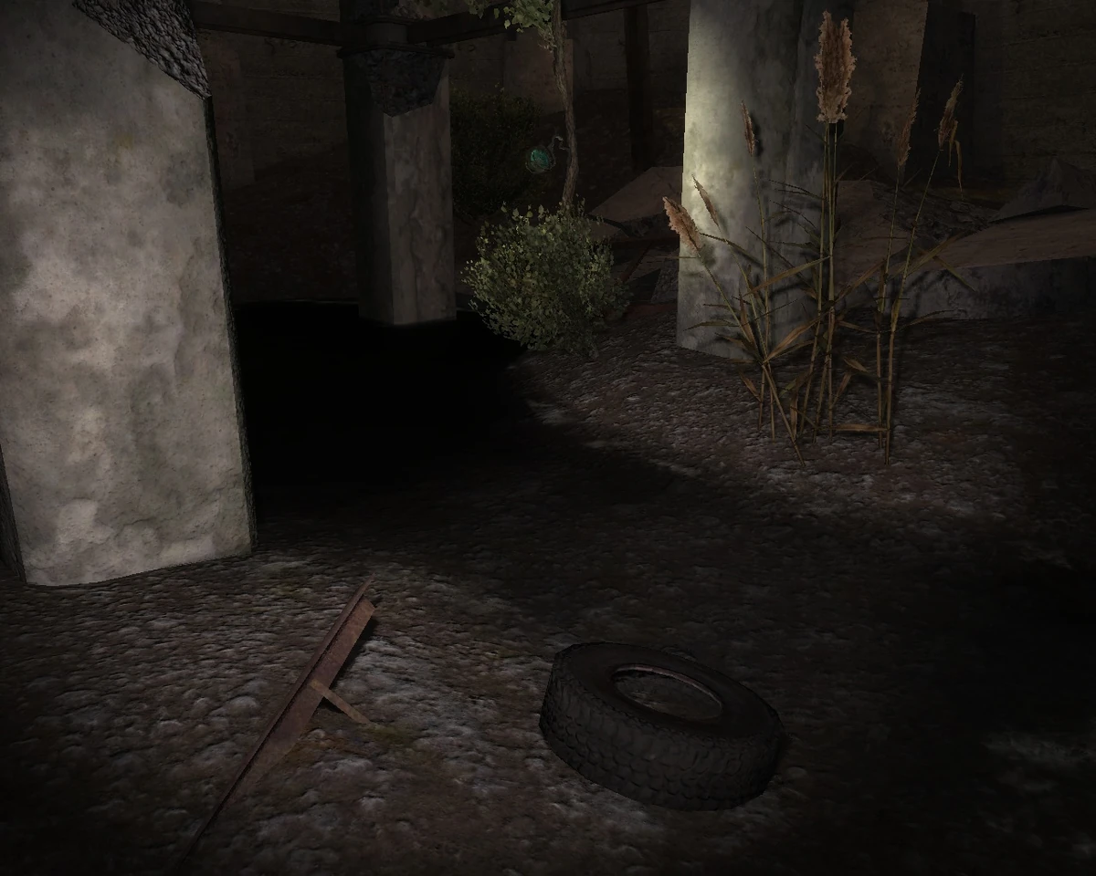 Oasis | S.T.A.L.K.E.R. Wiki | Fandom