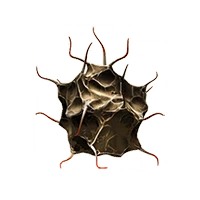 Flytrap | S.T.A.L.K.E.R. Wiki | Fandom