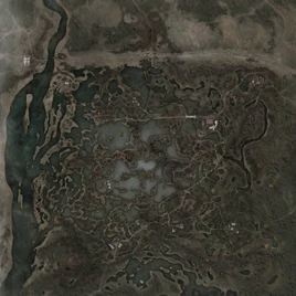 Swamps | S.T.A.L.K.E.R. Wiki | Fandom