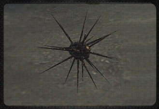 Kolec | S.T.A.L.K.E.R. Wiki | Fandom