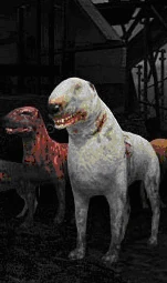 Perro ciego | Wiki STALKER | Fandom