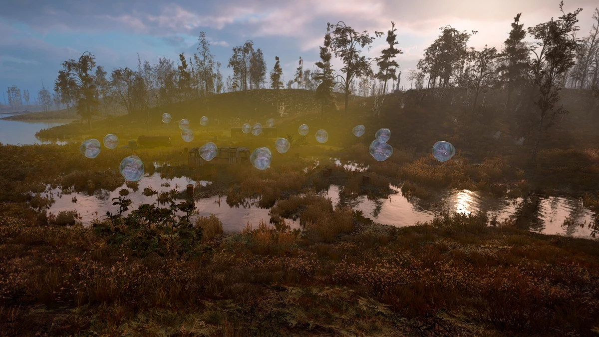 Toxic Bog | S.T.A.L.K.E.R. Wiki | Fandom