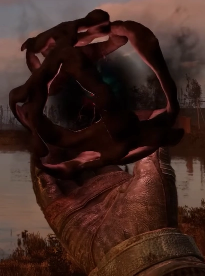 Plasma | S.T.A.L.K.E.R. Wiki | Fandom