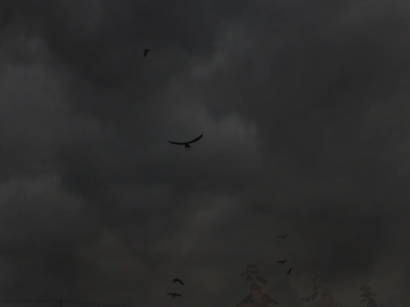 Crow | S.T.A.L.K.E.R. Wiki | Fandom