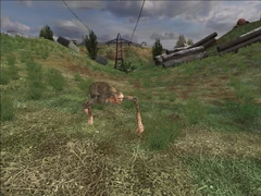 Излом — Zone Chronicles, энциклопедия S.T.A.L.K.E.R.