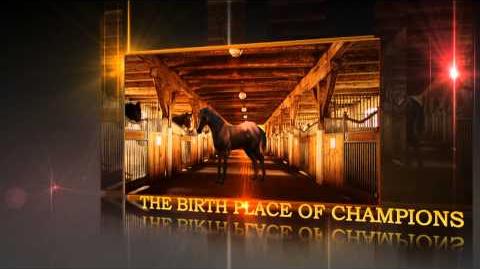 "Template:Welcome1" | Stallionrace Wiki | Fandom