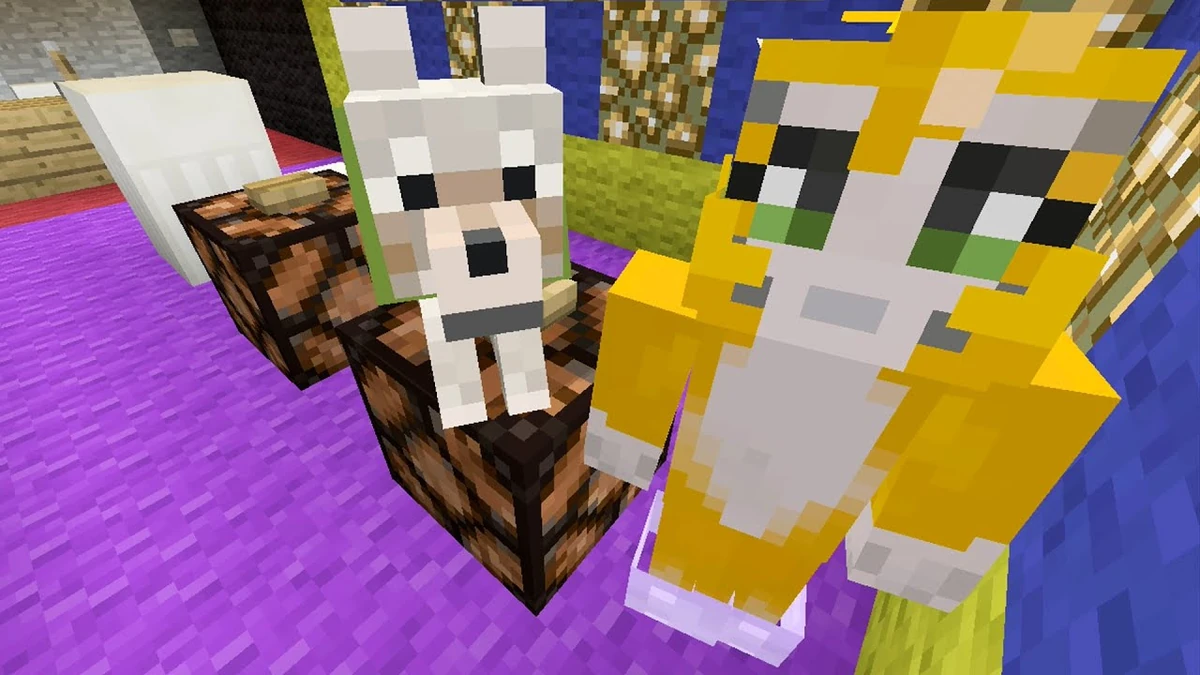 All Set | Stampy's Lovely Wiki | Fandom