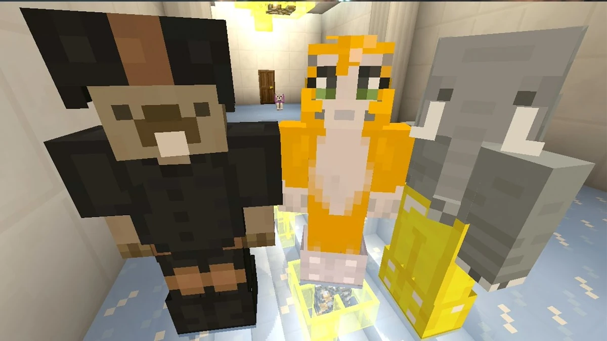 Reflections | Stampy's Lovely Wiki | Fandom