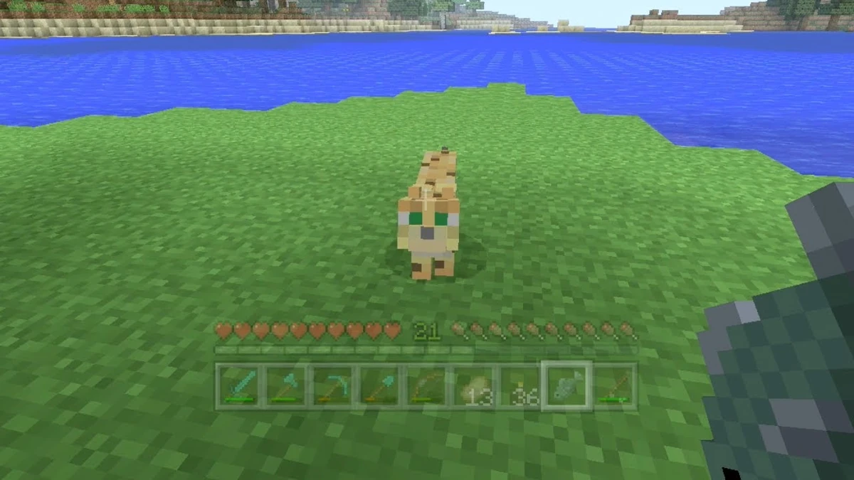 Kitty Cat | Stampy's Lovely Wiki | Fandom