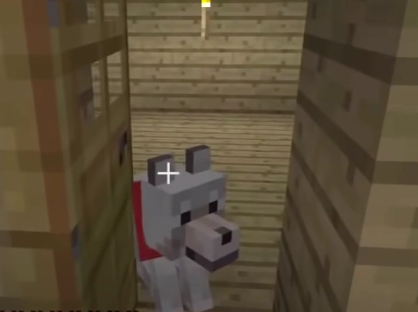 Snowy | Stampy's Lovely Wiki | Fandom