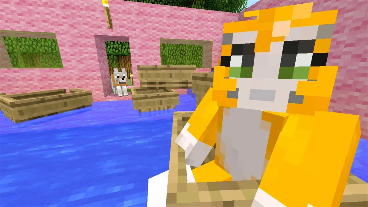 Banging Boats | Stampy's Lovely Wiki | Fandom
