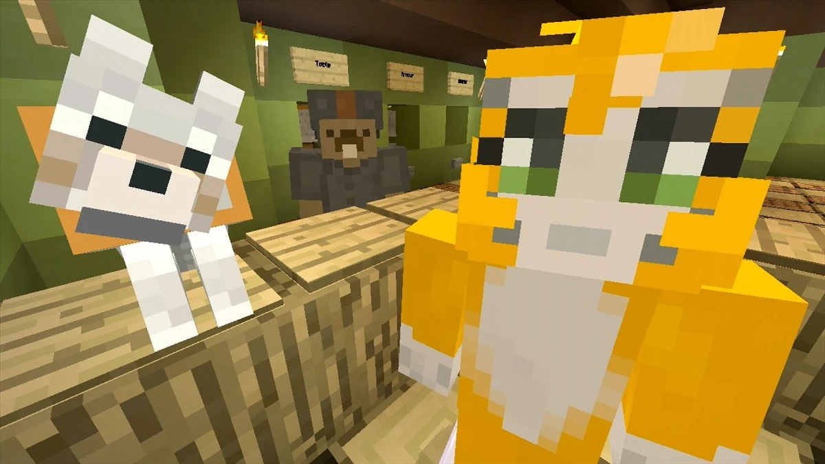 Tool Order | Stampy's Lovely Wiki | Fandom