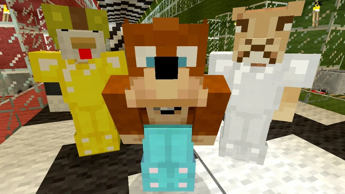 Rule The Duel | Stampy's Lovely Wiki | Fandom