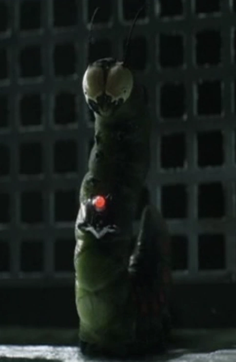 Mister Mind (DC Extended Universe) | Standard Evil Wiki | Fandom