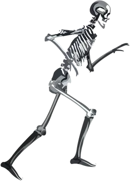 Skeleton (Scooby-Doo Creepy Run) | Standard Evil Wiki | Fandom