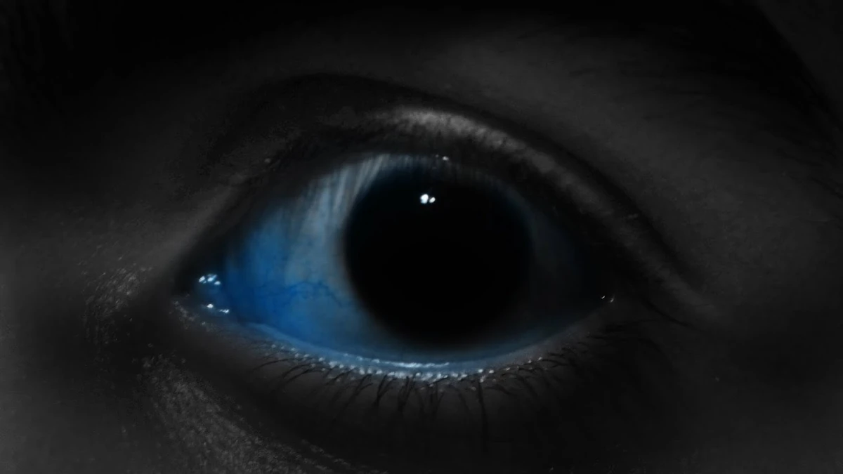 Season Three | Stan Frederick Wiki | Fandom