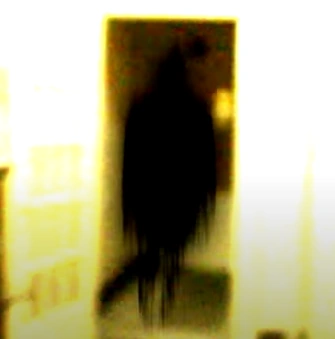 Connor | Stan Frederick Wiki | Fandom