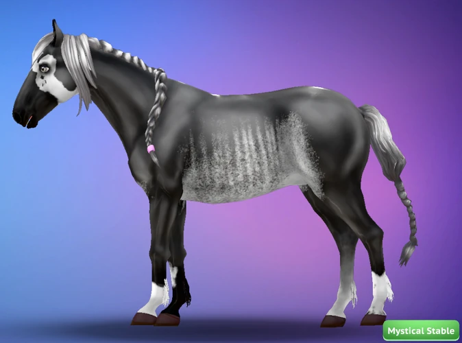 Grey Rabicano Mustang | Star Equestrian Wiki | Fandom