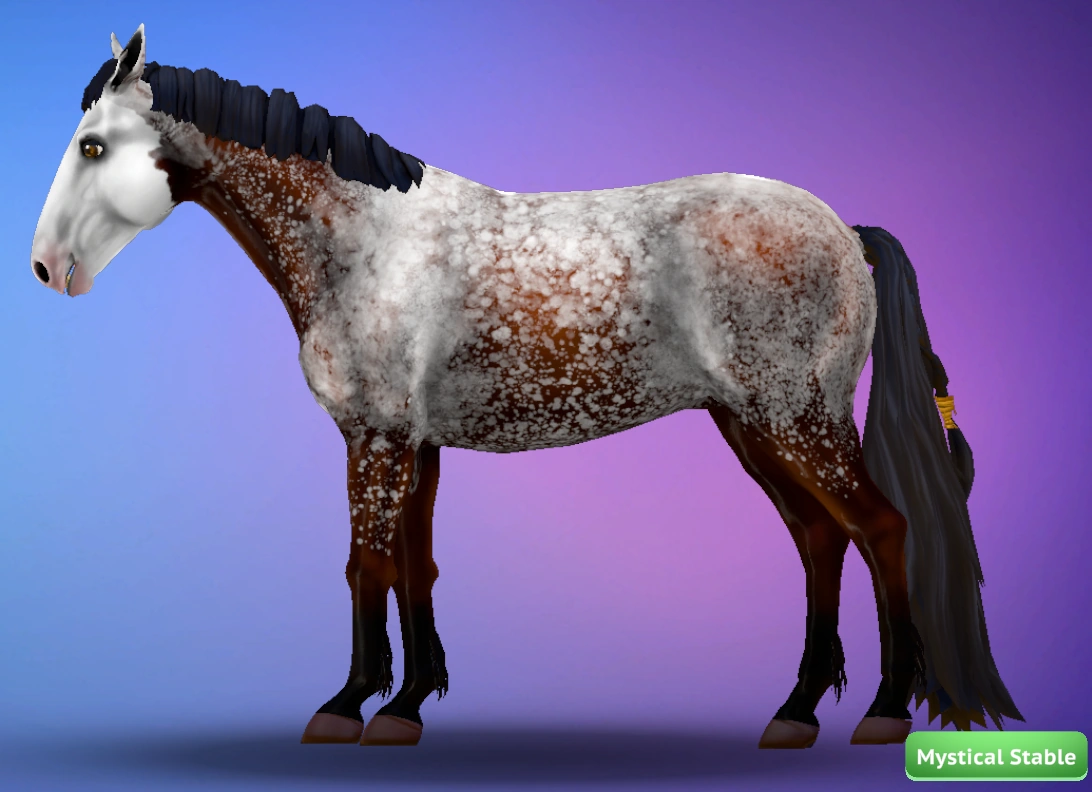 Dark Bay Roan Mustang | Star Equestrian Wiki | Fandom