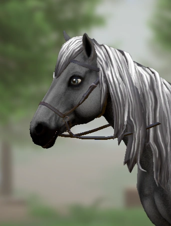 Category:Horses | Star Equestrian Wiki | Fandom