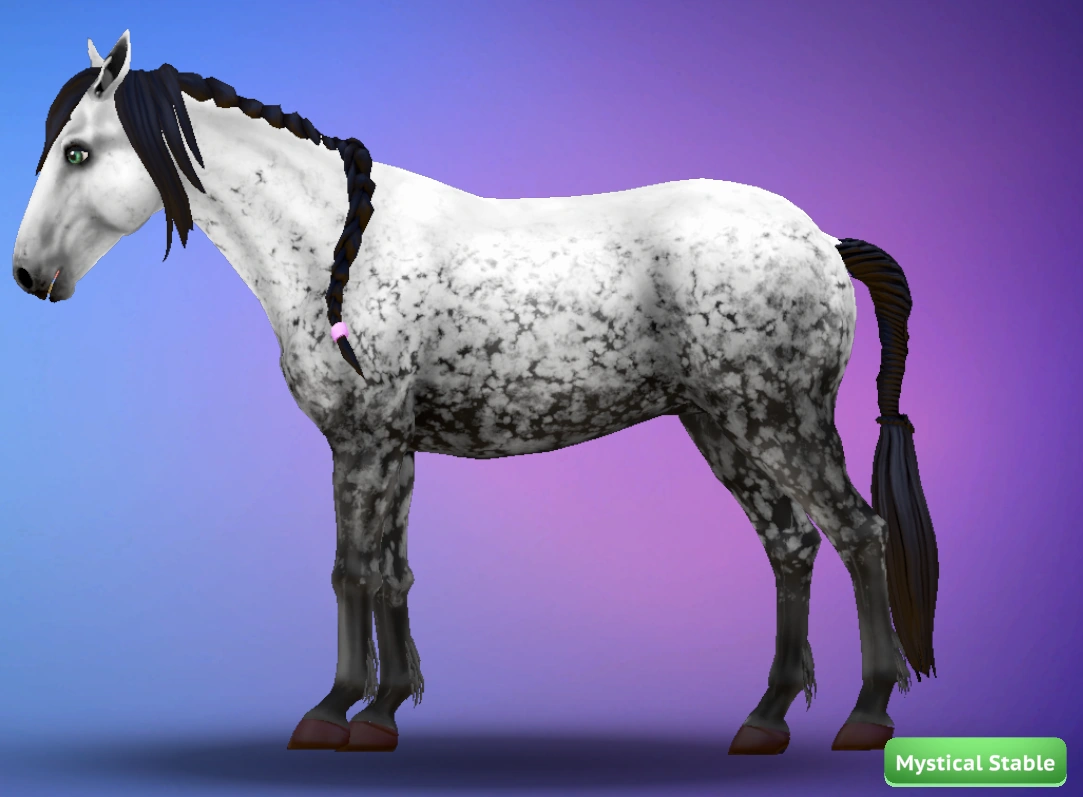 Silver Dapple Kiger | Star Equestrian Wiki | Fandom