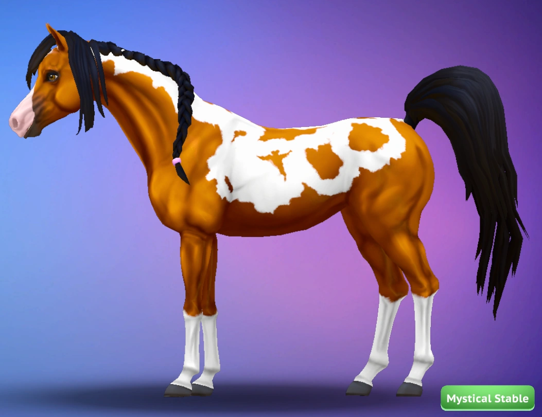 Light Brown Pintabian | Star Equestrian Wiki | Fandom