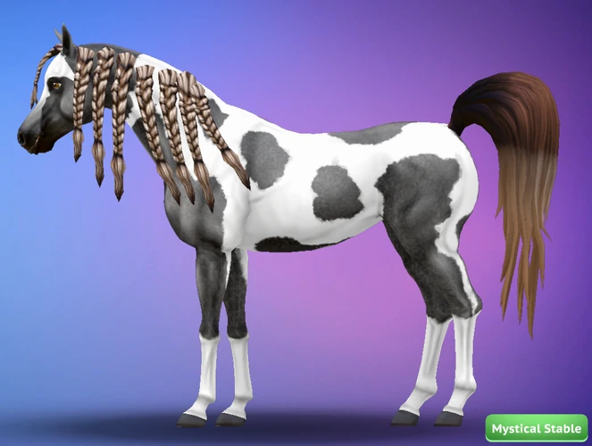 Grey Tovero Pintabian | Star Equestrian Wiki | Fandom