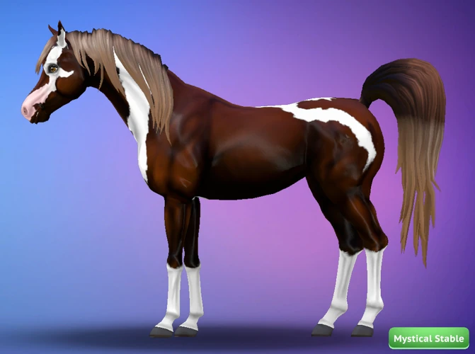 Liver Chestnut Pintabian | Star Equestrian Wiki | Fandom