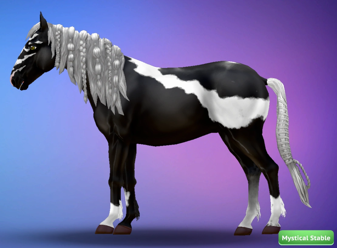 Black Mustang | Star Equestrian Wiki | Fandom