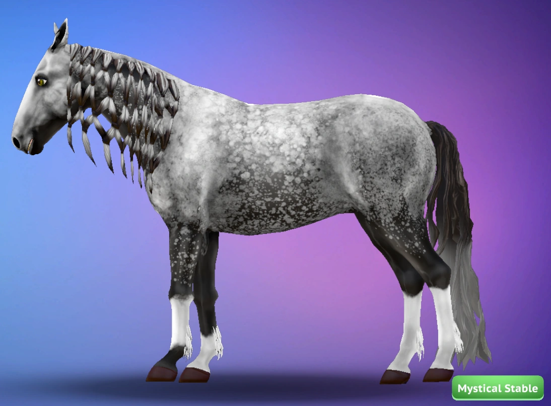 Dapple Grey Mustang | Star Equestrian Wiki | Fandom